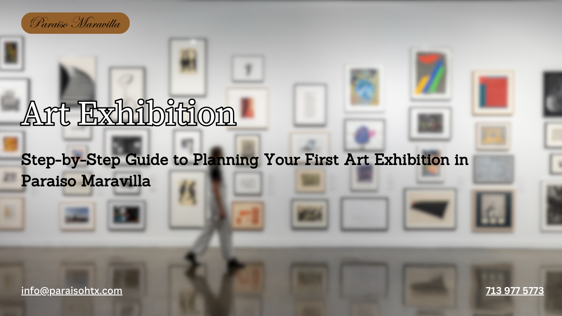 Step-by-Step Guide to Planning Your First Art Exhibition in Paraiso ...